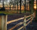 Chestnut Posts - Chestnut Fencing | Timber Fencing | Ashford Kent