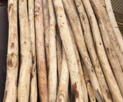 Cleft Chestnut Posts and Rail - Chestnut Fencing | Ashford Kent