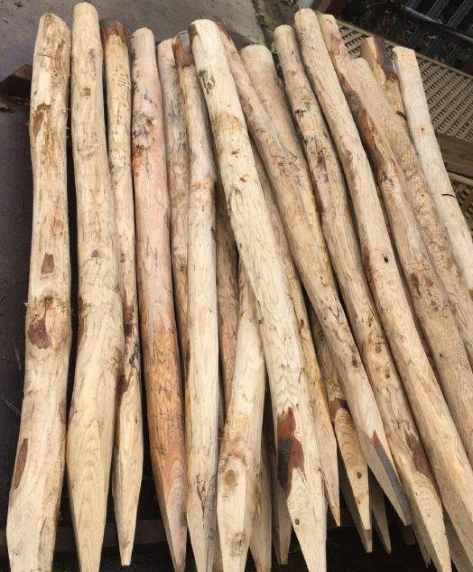 Chestnut Fencing - Buy Online | Chestnut Paling, Post and Rail