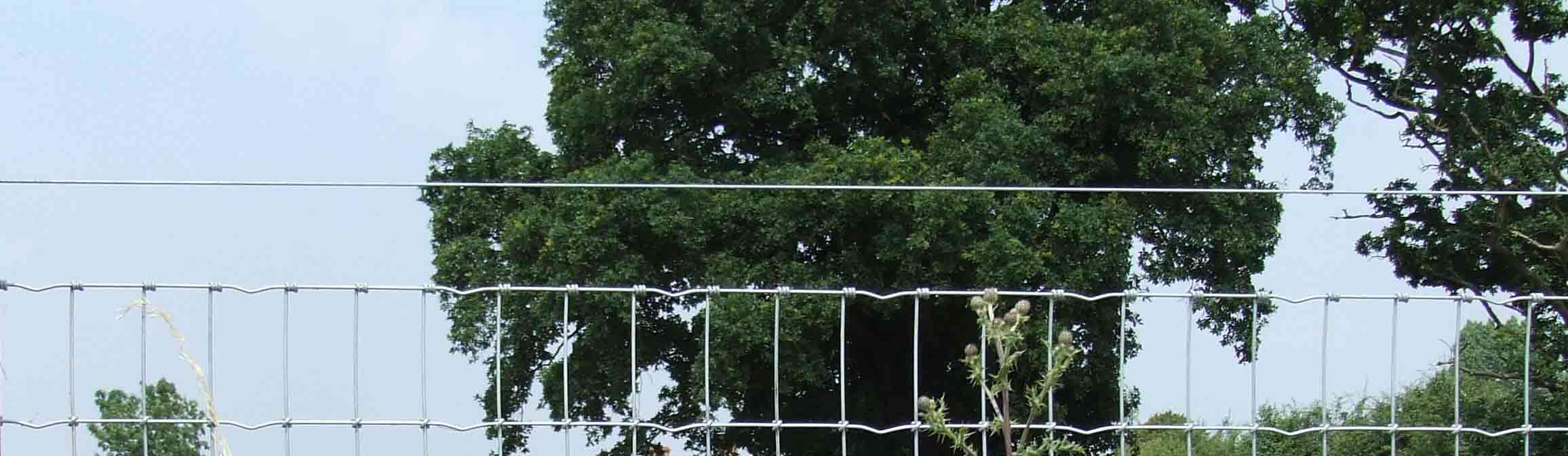 Plain Wire - Wire and Stock Fencing | Agricultural Fencing | Ashford Kent