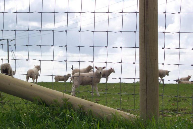 Stock Netting - Wire & Stock Fencing | Agricultural | Ashford Kent