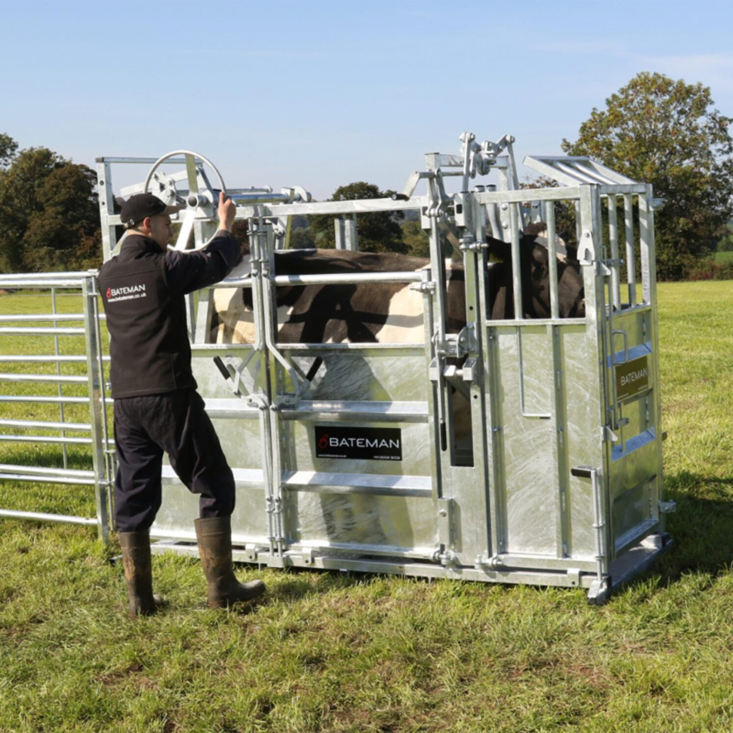 LM Bateman | Premium Animal Handling and Feeding Equipment