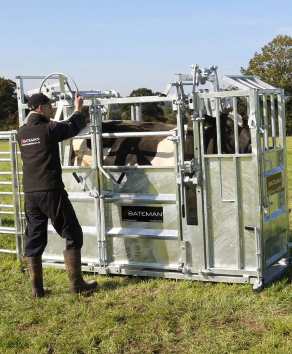 LM Bateman | Premium Animal Handling and Feeding Equipment