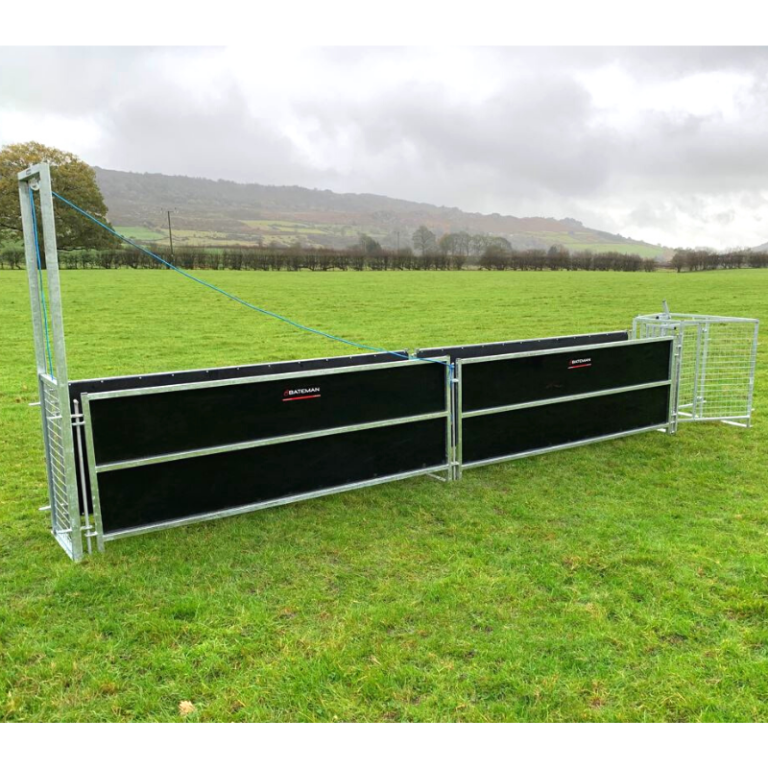 Standard Sheep Handling Starter Race | LM Bateman