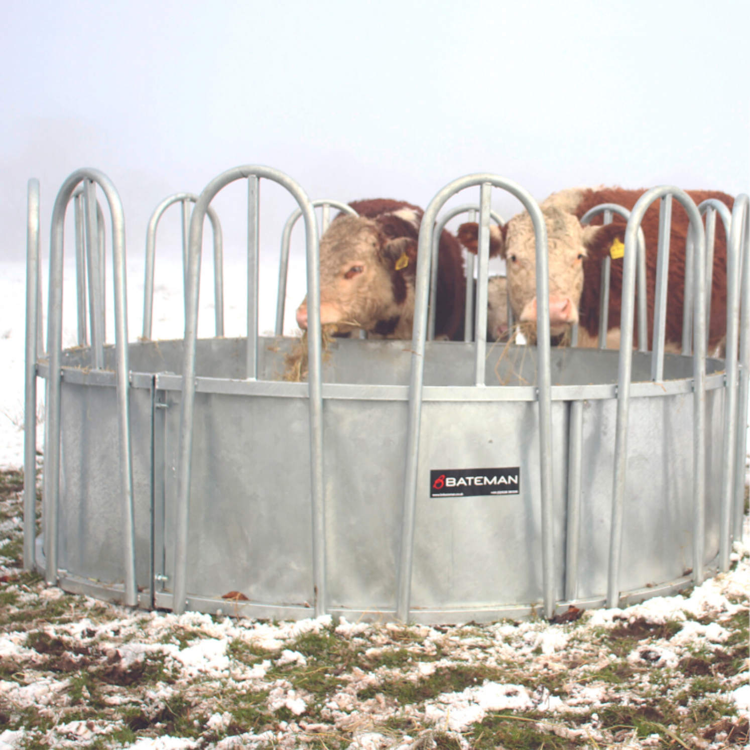 Livestock Equipment | Cattle & Sheep Handling, Feeders and Crushes