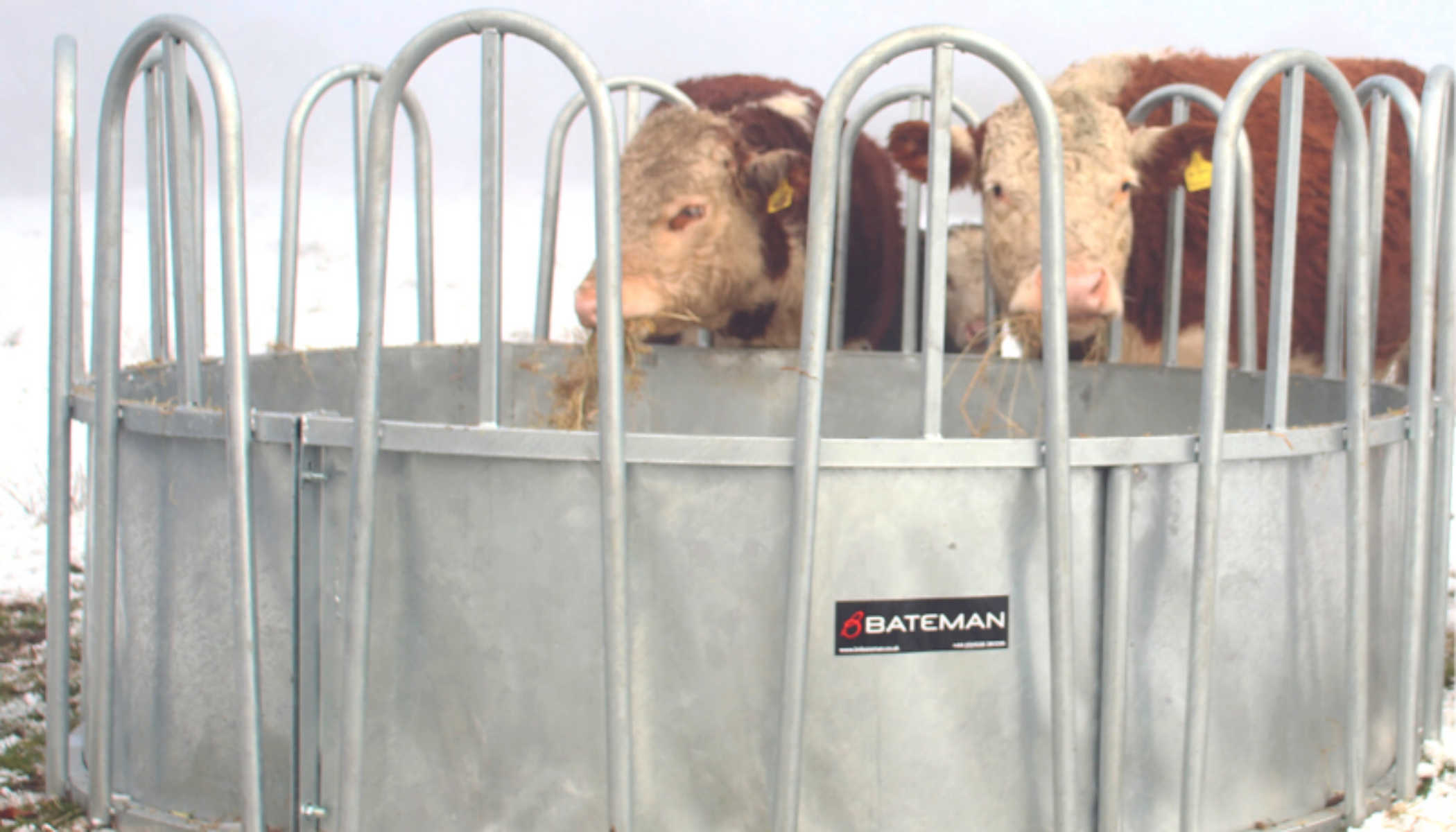 Price Reductions - Cattle & Sheep Handling & Feeding Equipment