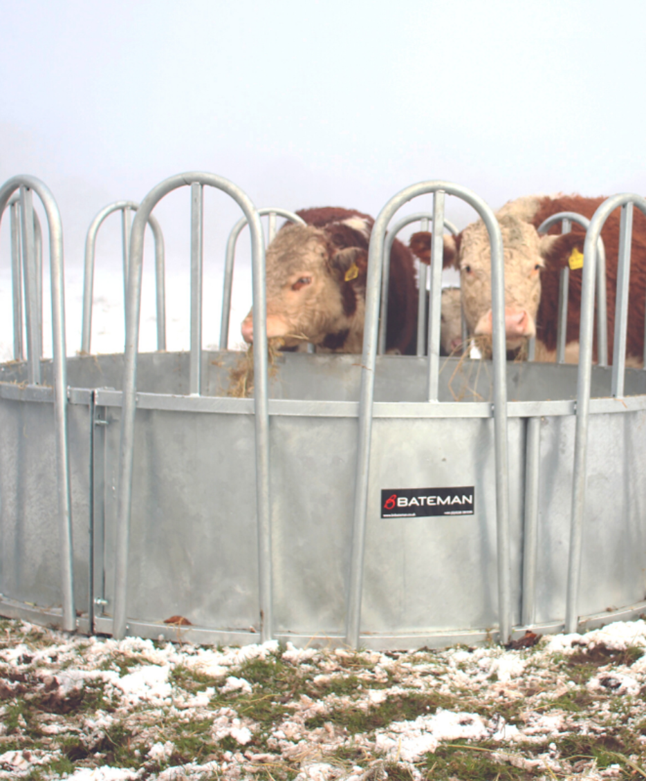Livestock Equipment | Cattle & Sheep Handling, Feeders and Crushes