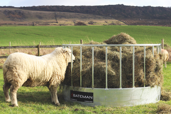 Standard-sheep-ring-1 - FSF Fencing Supplies Shop