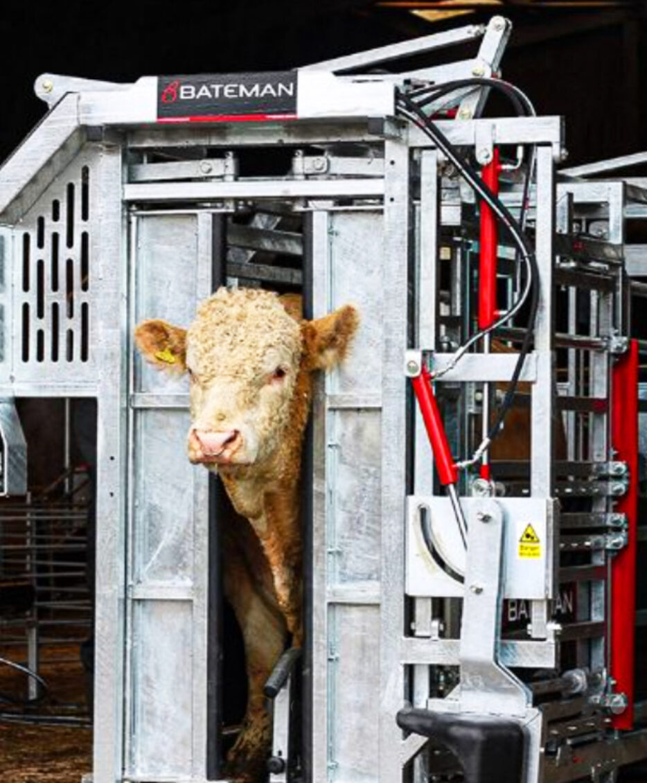 Livestock Equipment | Cattle & Sheep Handling, Feeders and Crushes