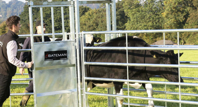 Livestock Equipment | Cattle & Sheep Handling, Feeders and Crushes