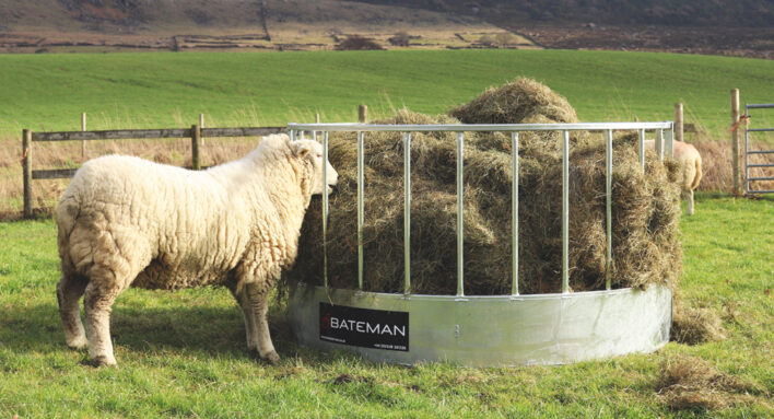 Livestock Equipment | Cattle & Sheep Handling, Feeders and Crushes
