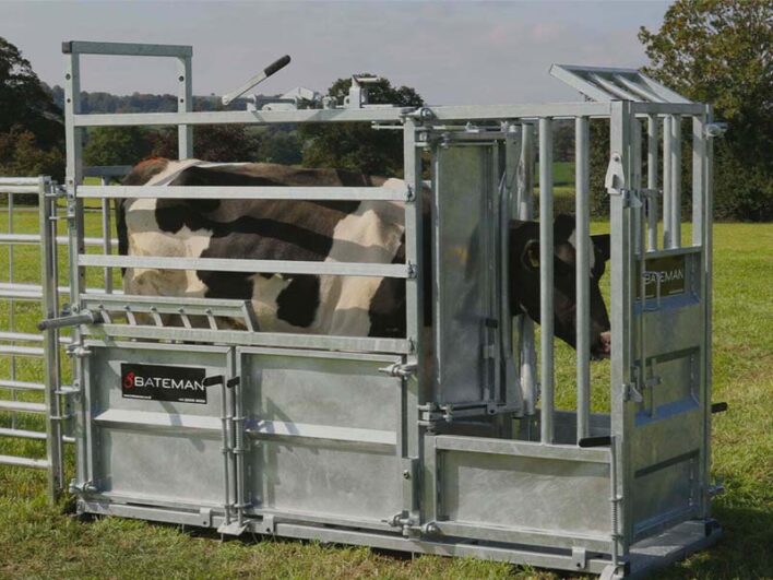 Livestock Equipment | Cattle & Sheep Handling, Feeders and Crushes