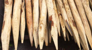 Chestnut Fencing - Buy Online | Chestnut Paling, Post and Rail
