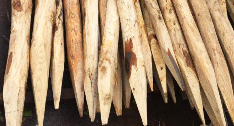 Chestnut Fencing - Buy Online | Chestnut Paling, Post and Rail