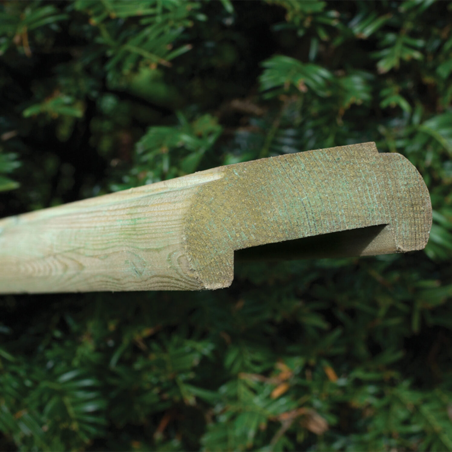 Timber Fencing Supplies | Timber Fence Panels, Timber Posts, Trellis ...